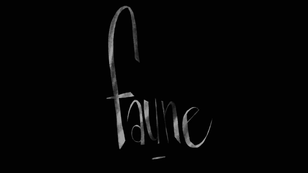 Faune on Vimeo