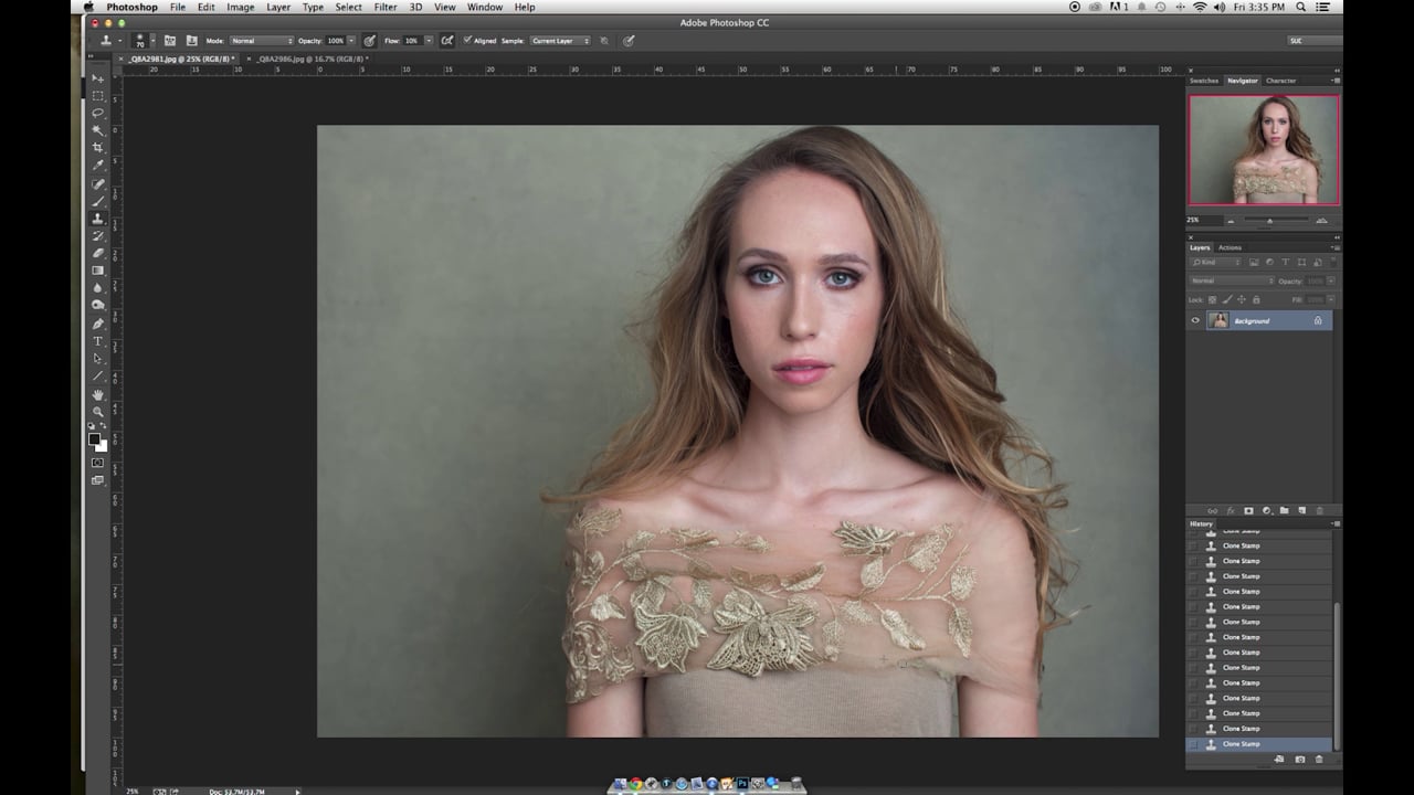 Retouching - DIY: Tea Staining (Courses) - The Portrait System