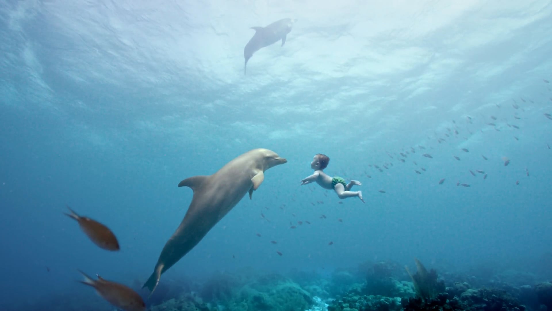 CG Animals - Libero - A Cleaner Ocean on Vimeo