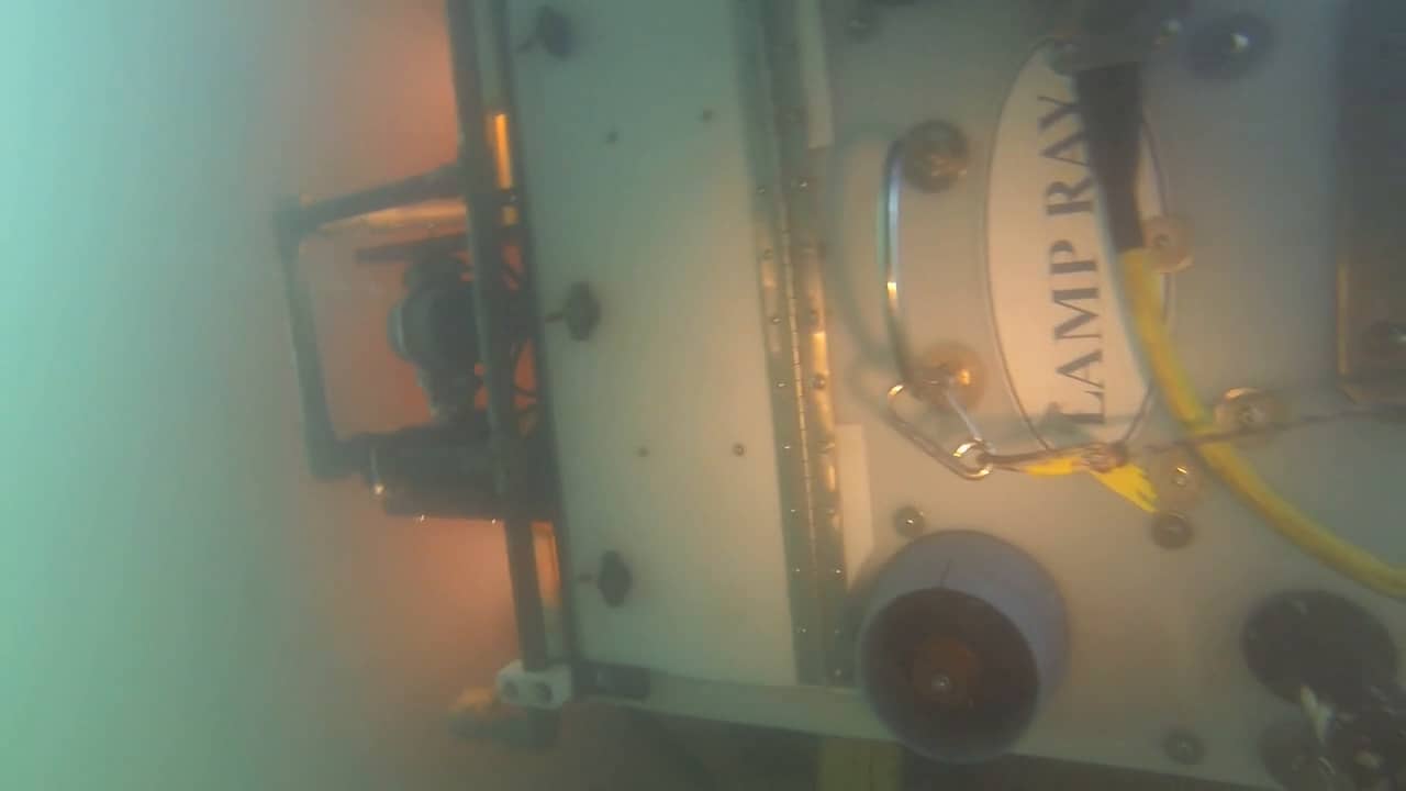 Lamp Ray® ROV Underwater HD Video on Vimeo