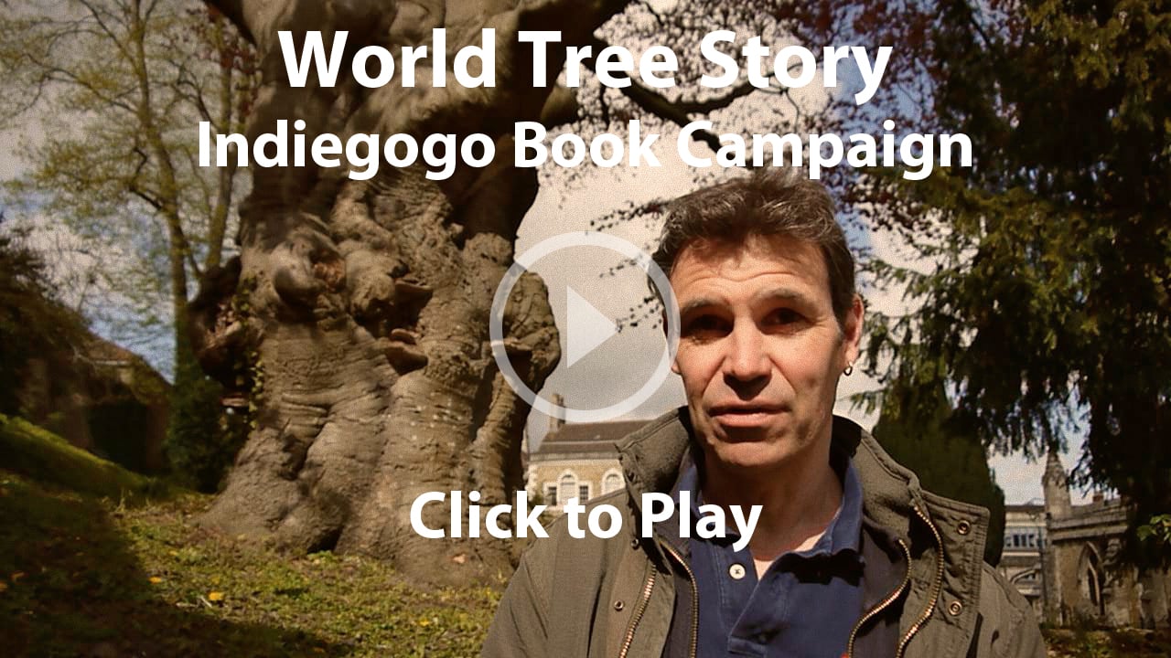 World Tree Story - Indiegogo campaign on Vimeo