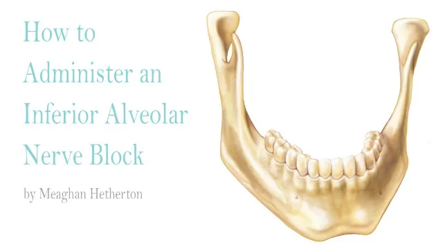 Intercostal Nerve Block Canine