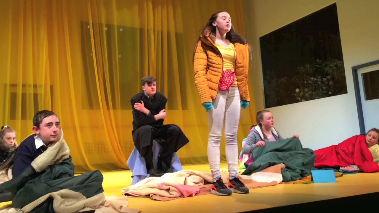 Sarah Fitzgibbon and Maire O'Higgins: Collaboration in the theatre ...