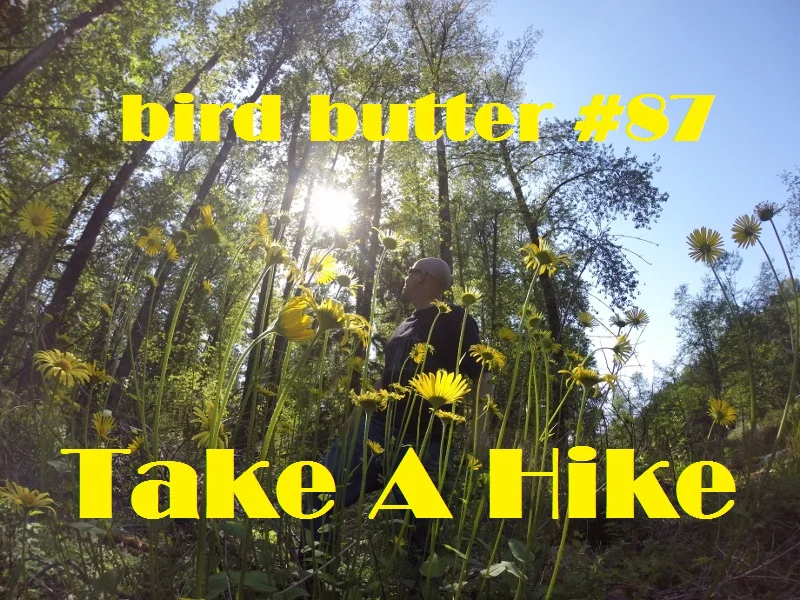 Anthony Rebello / Bird Butter #87 / Take A Hike on Vimeo