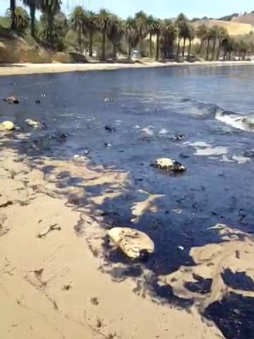 Refugio Beach Oil Spill on Vimeo