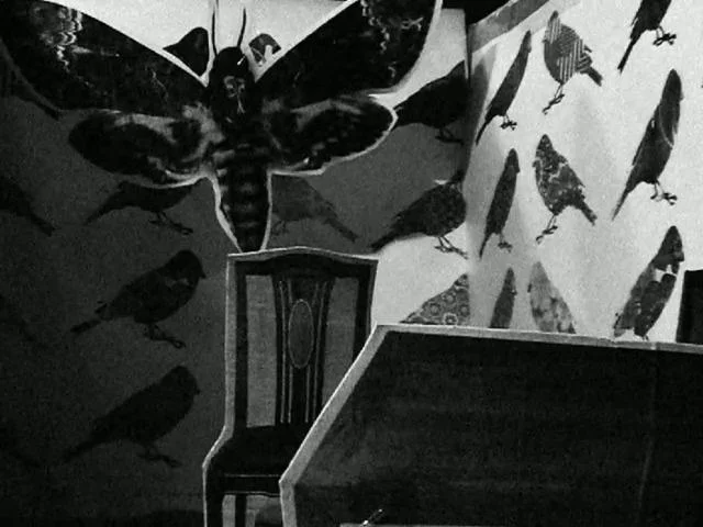 Psychopomp (B1), Bird-box video on Vimeo