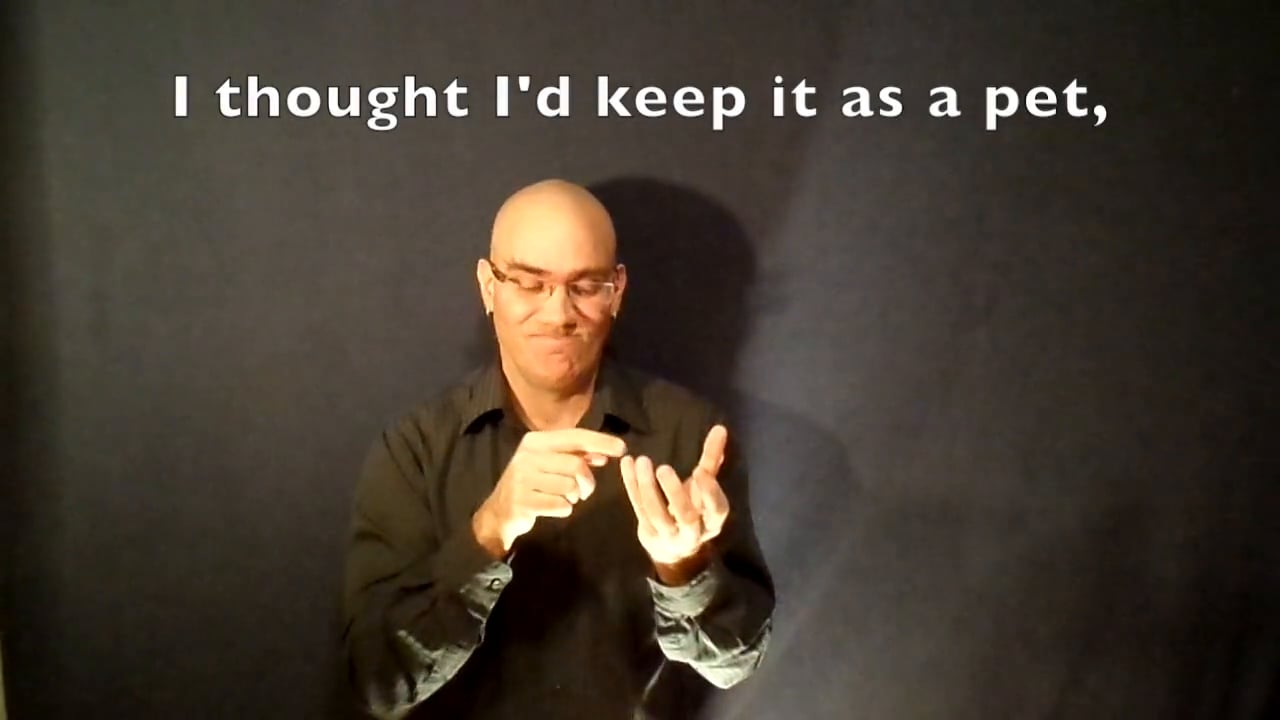 Shel Silverstein's "I Made A Snowball" translated into American Sign ...