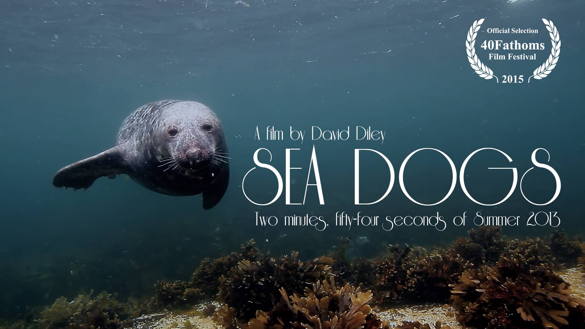 Sea Dogs - Two Minutes, Fifty Four Seconds of Summer 2013 on Vimeo
