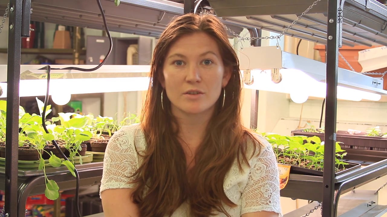 BTC Mentor Project Testimonials: Maura Flanagan on Vimeo