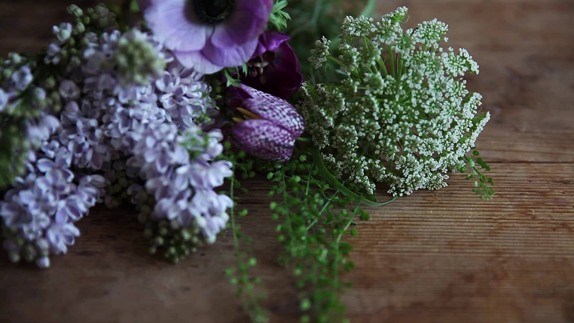 flowers on Vimeo