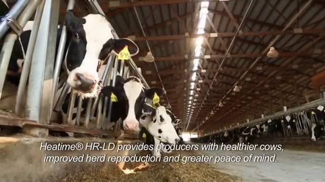 SCR Heatime LD Heat Detection Innovative Technology on Vimeo