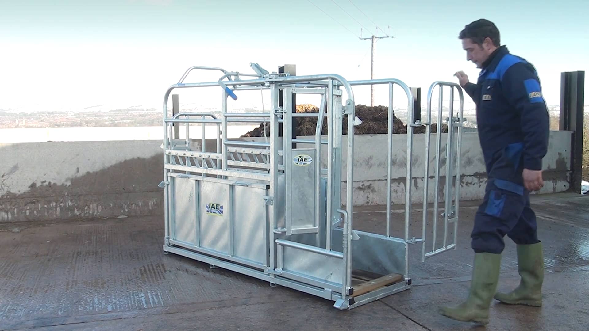 IAE Yearling Cattle Crush on Vimeo