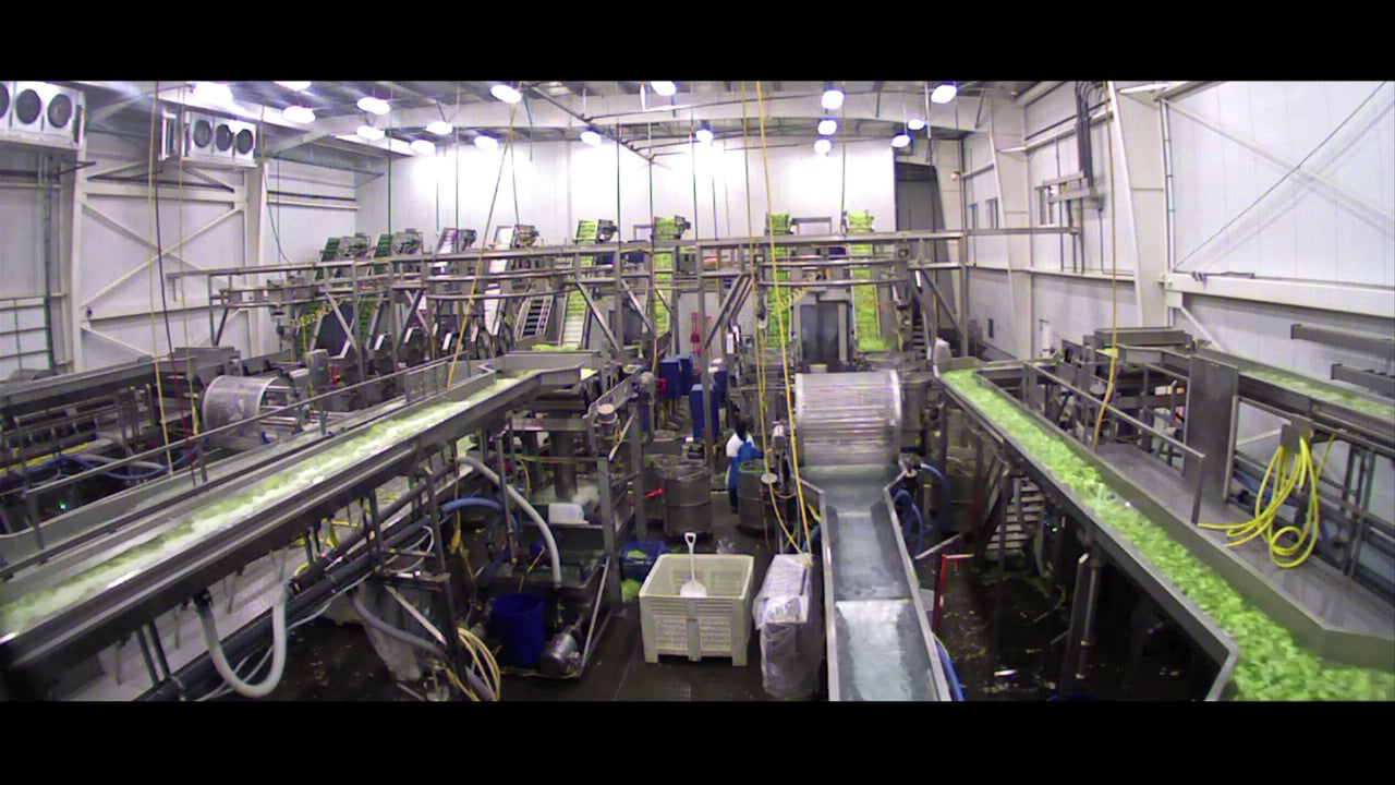 About - GreenGate Fresh