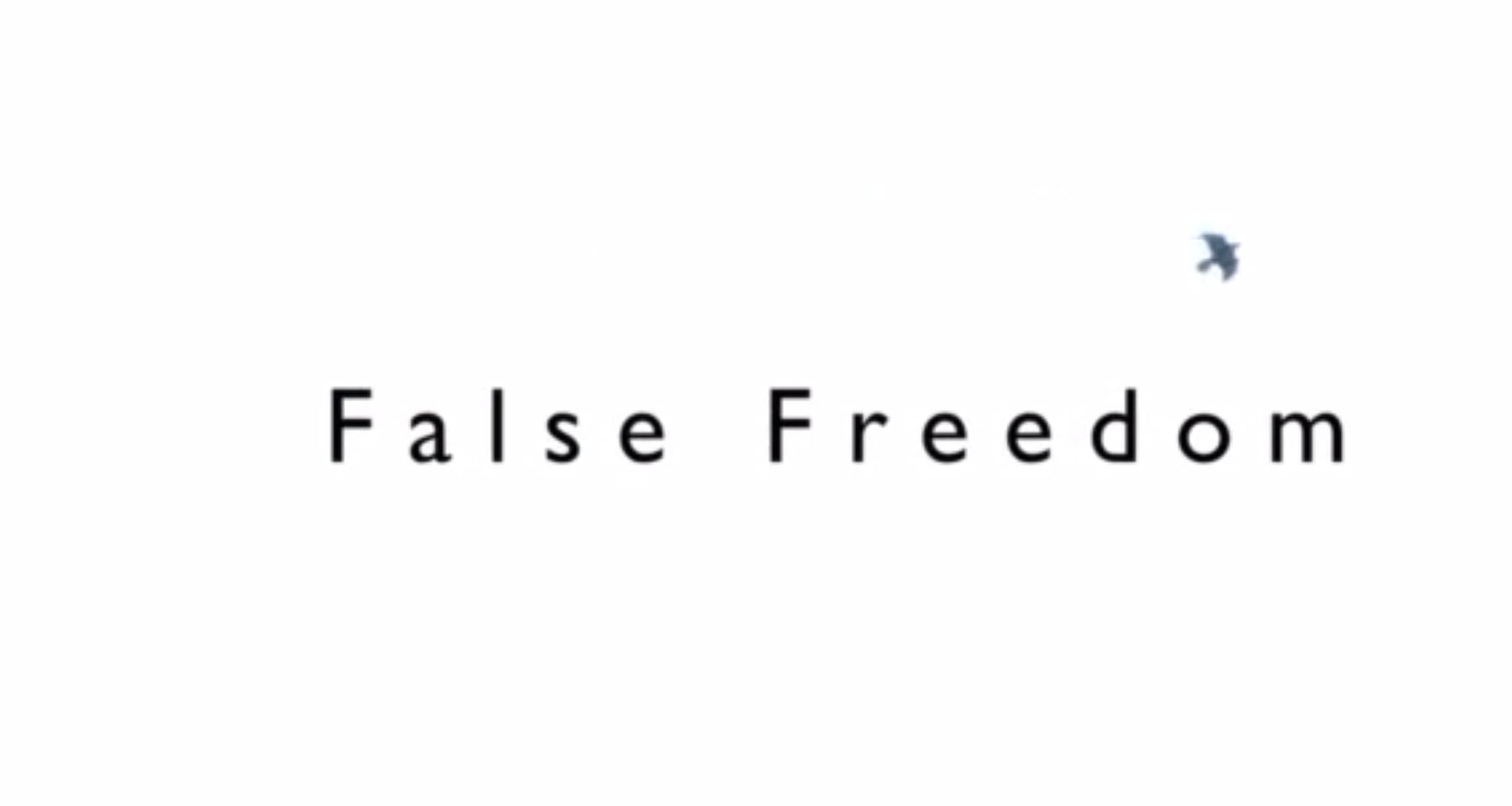 False Freedom on Vimeo