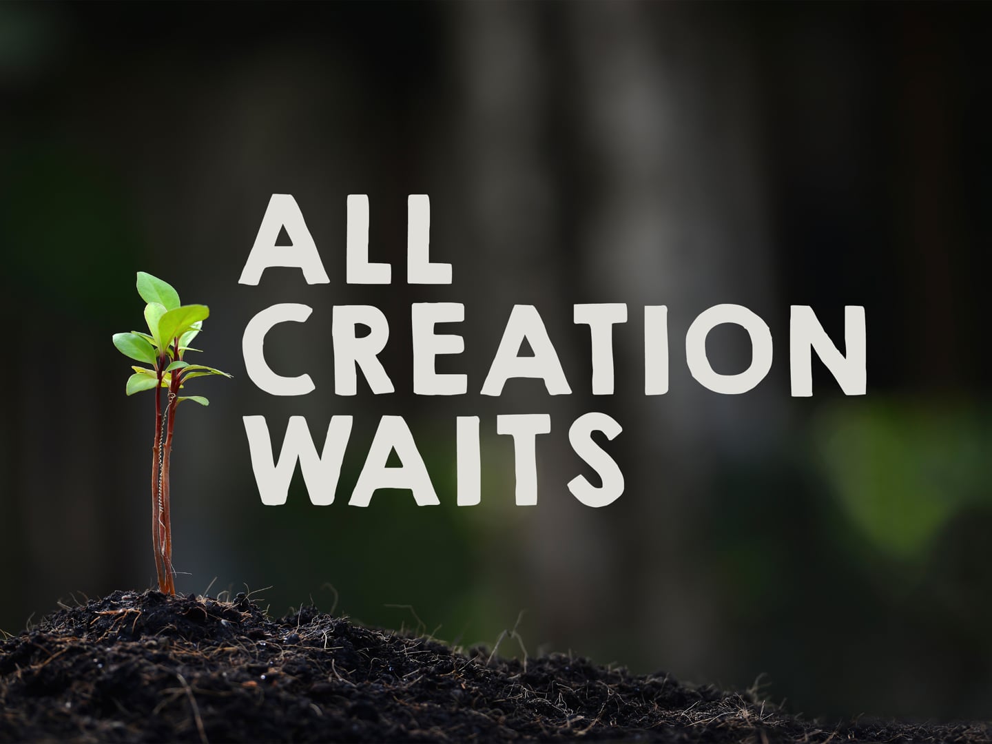 All Creation Waits - Part 1 on Vimeo