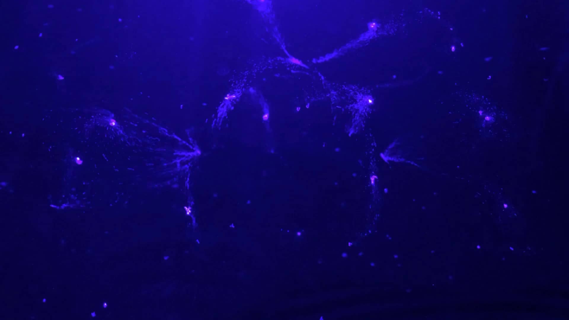 IMPLOSION CHAMBER | 2014 | installation on Vimeo