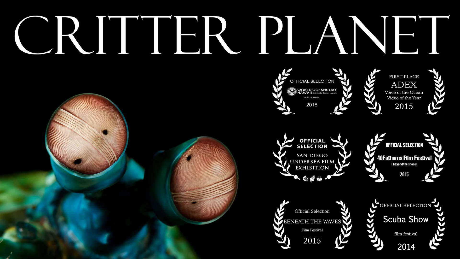 Critter Planet on Vimeo