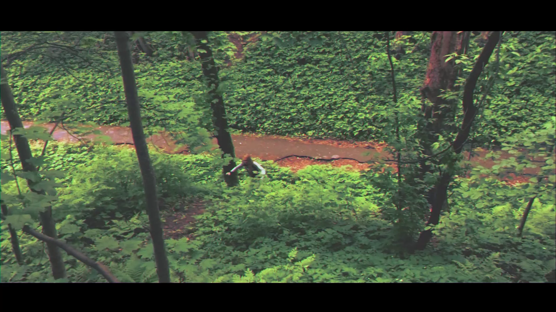 31 day of may on Vimeo