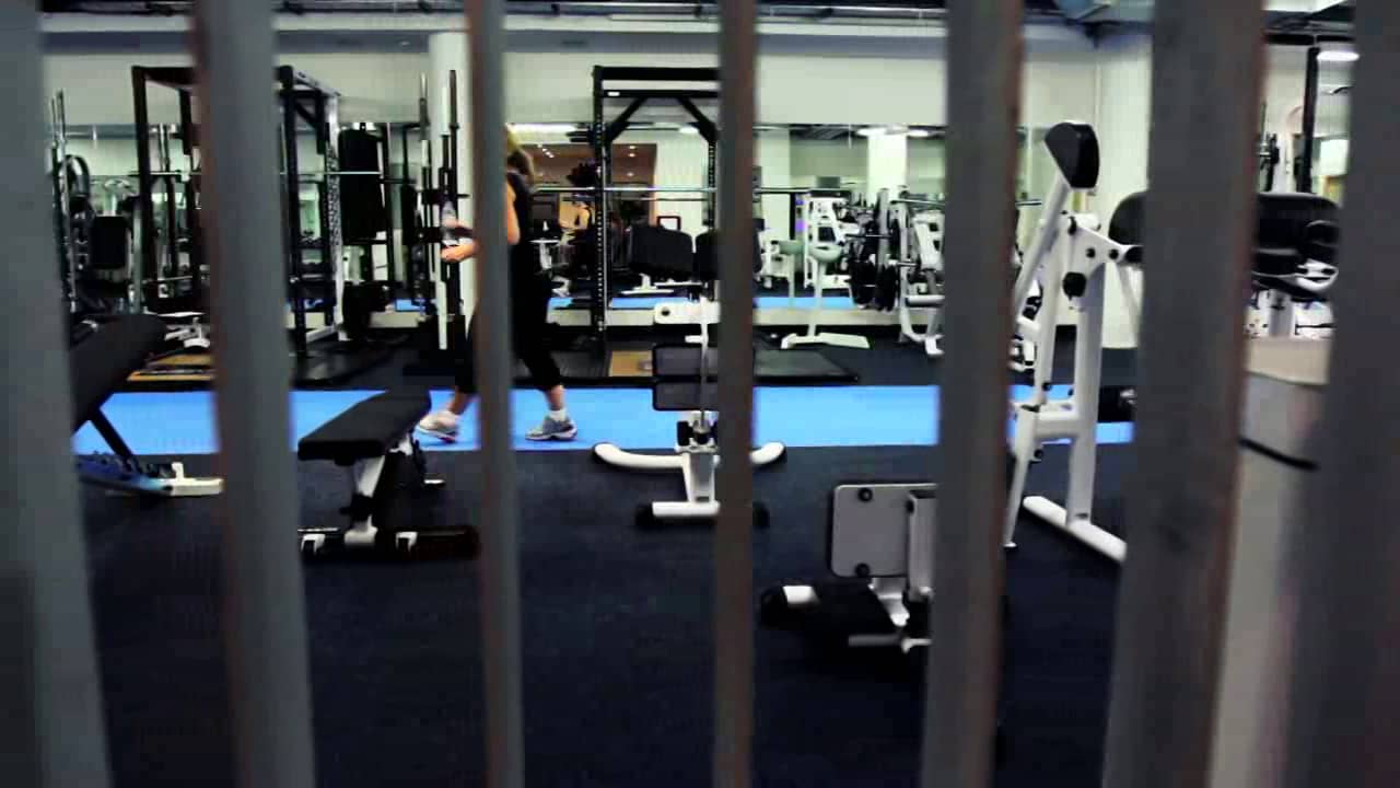 Introduction to Ultimate Performance on Vimeo