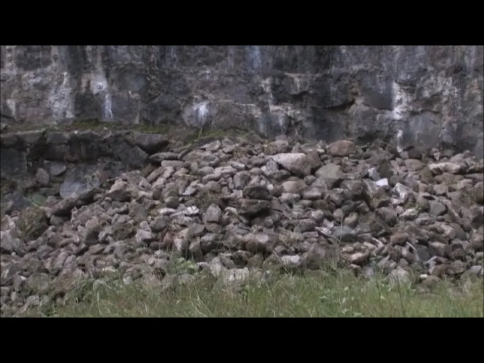 Watch Surviving History Online | Vimeo On Demand on Vimeo