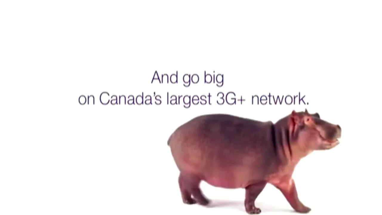 COPILOT Demo - Hazina the Telus Hippo