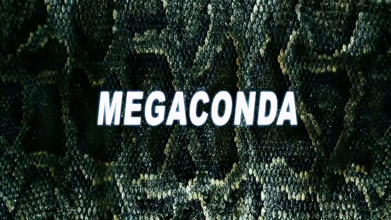 MEGACONDA Trailer on Vimeo