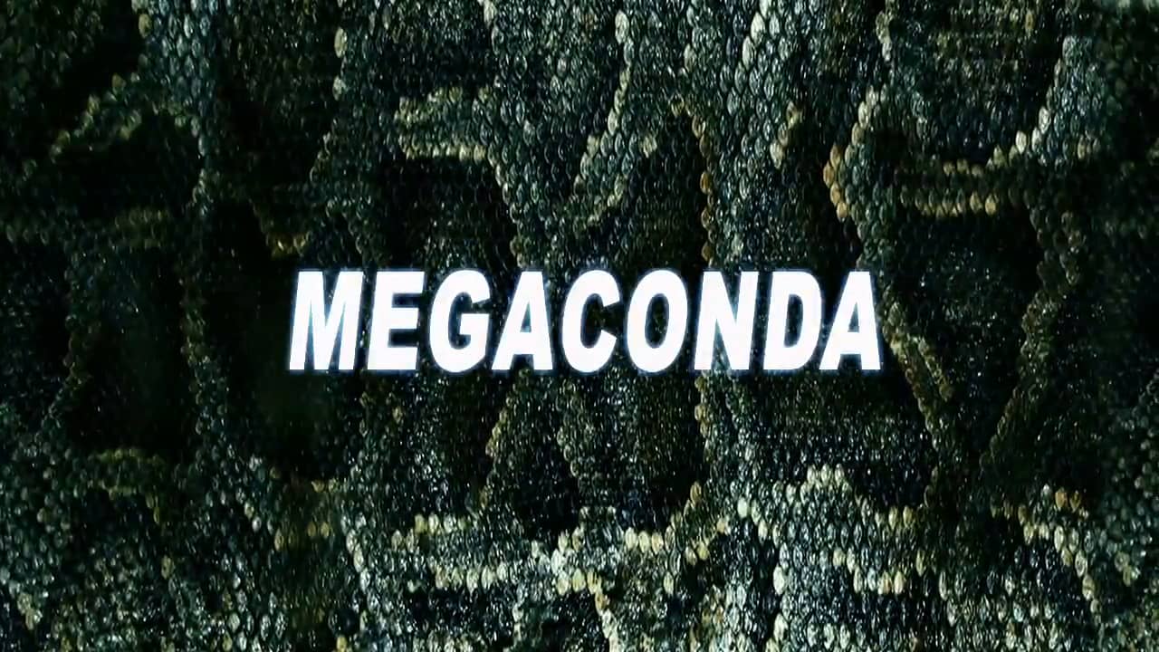 MEGACONDA Trailer on Vimeo