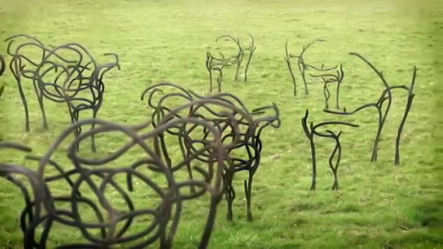 Cyriak Cows & cows & cows on Vimeo