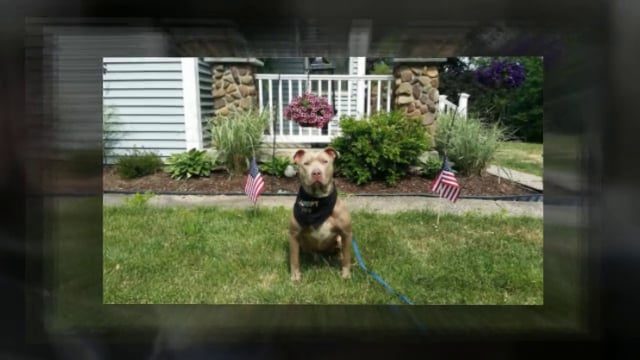 Max on Vimeo