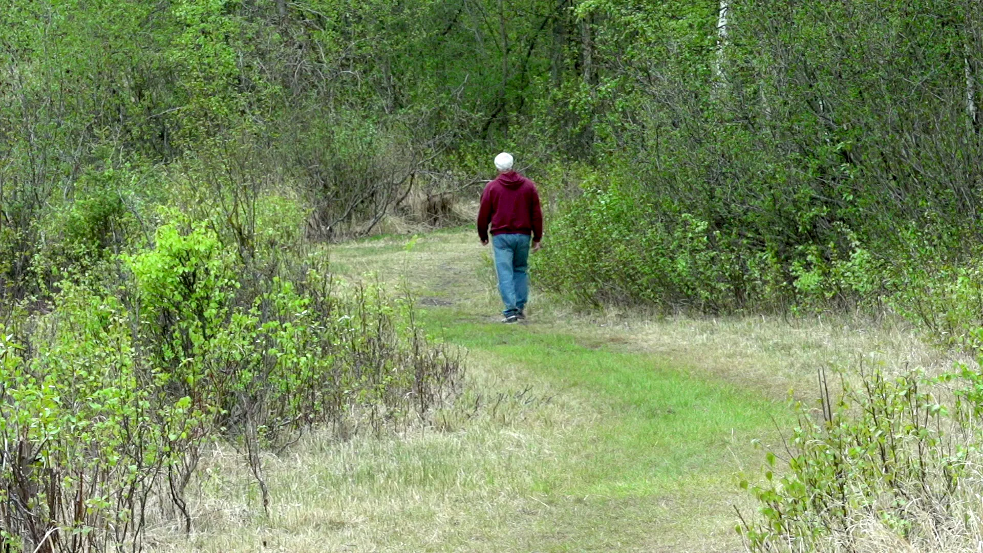 Pipeline Pioneers: Scott Harter on Vimeo