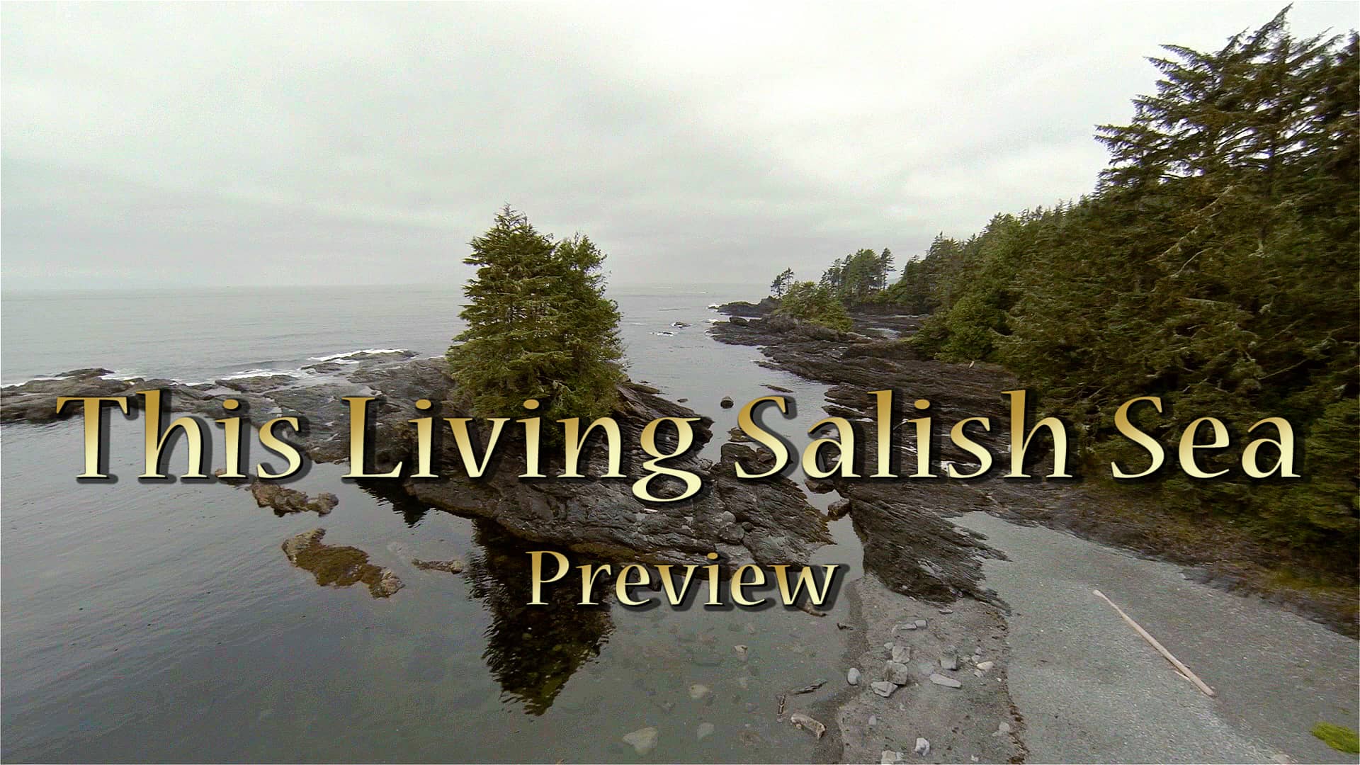 This Living Salish Sea (preview/excerpt) on Vimeo