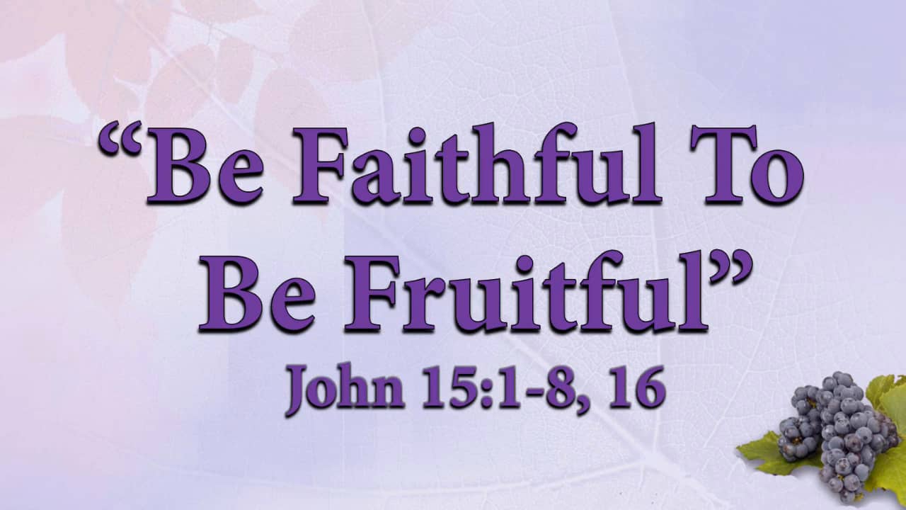 Be Faithful To Be Fruitful (PM) on Vimeo