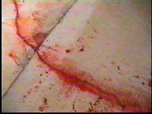 Vomitose - The Vomitening on Vimeo