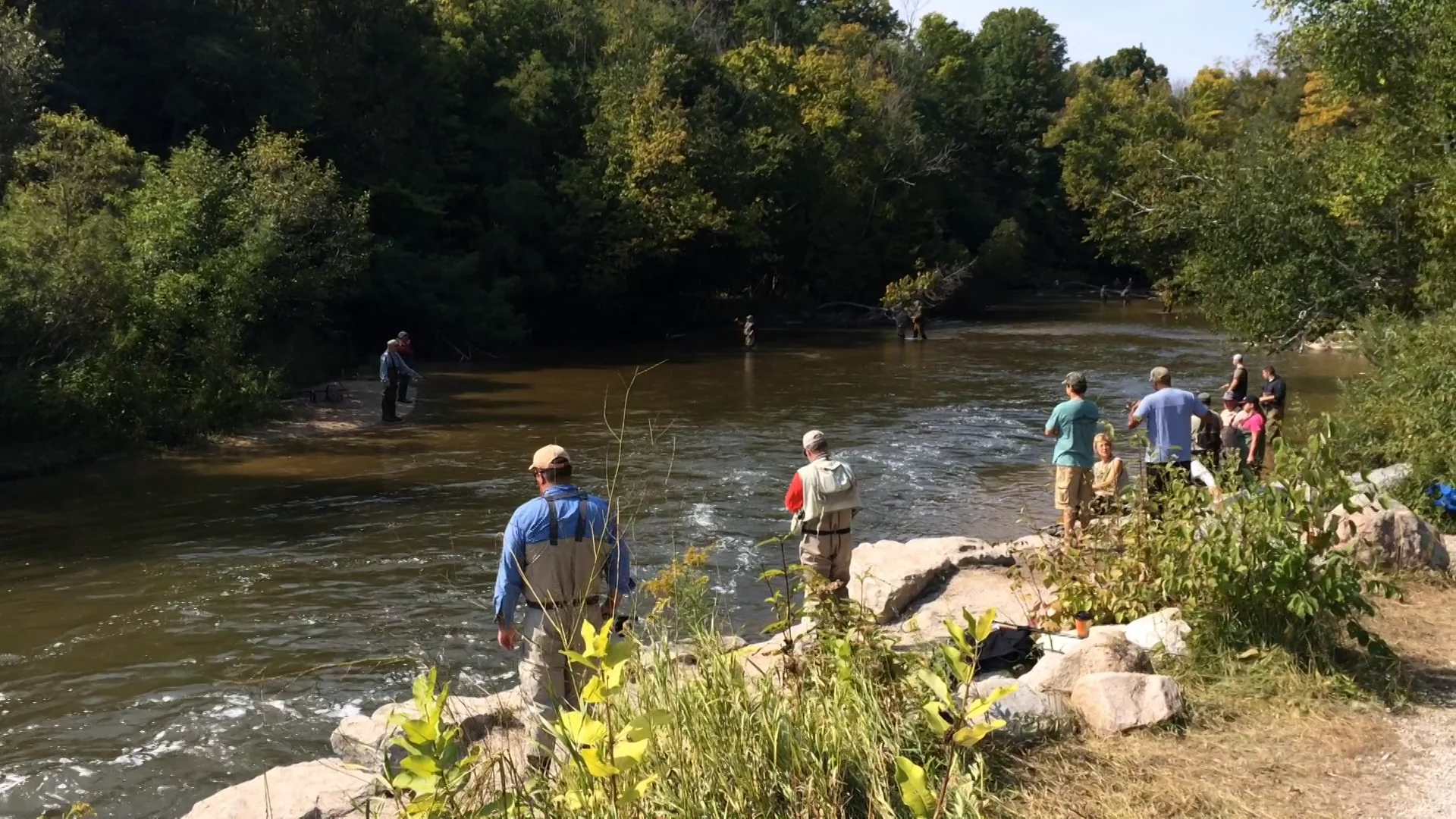 Editorial - Kris Riley - Looking Back One Year - 2015-2016 - Live Work ...