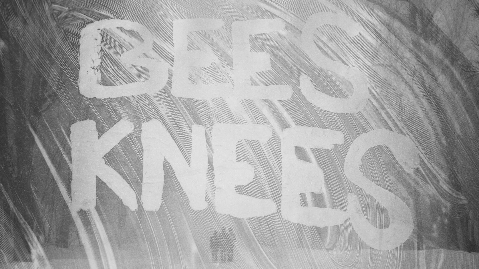 TACO TRIP - BEES KNEES TEASER on Vimeo