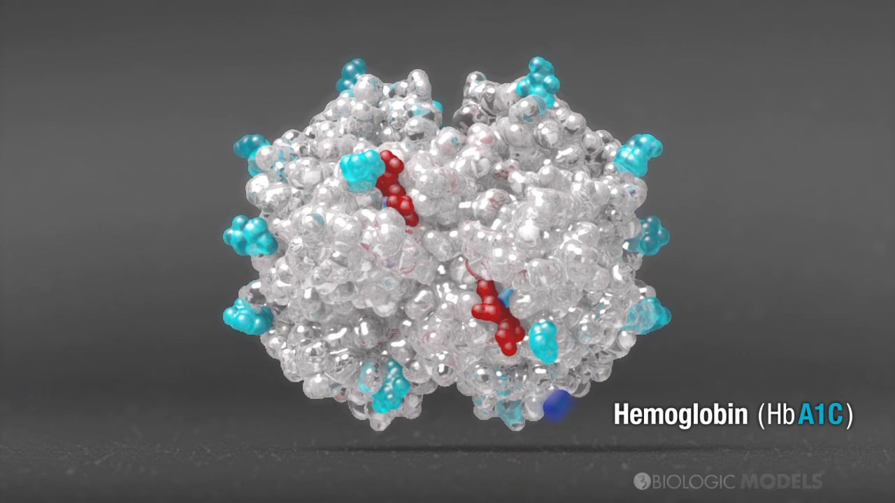 Glycated Hemoglobin A1c 3D Animation on Vimeo
