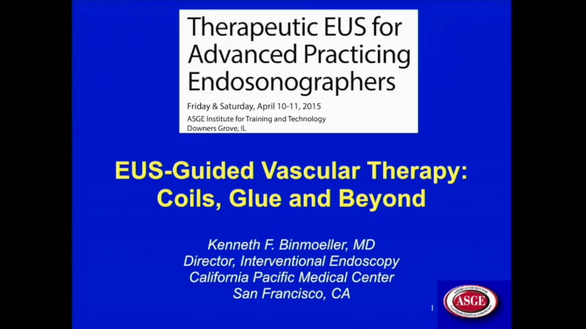 EUS-Guided Vascular Therapy: Coils, Glue and Beyond on Vimeo