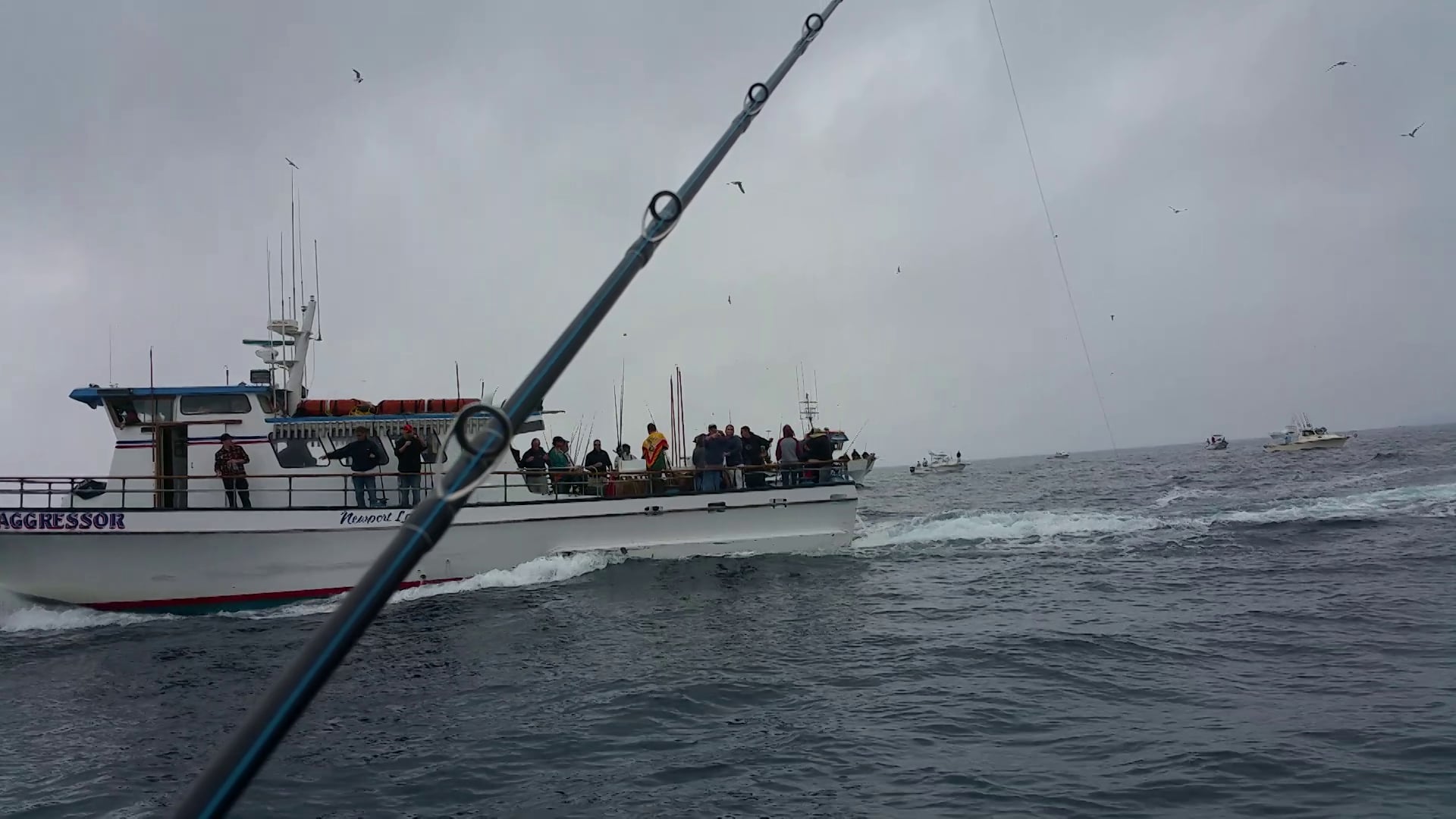 150 Combat fishing. Aggressor making a pass on Vimeo