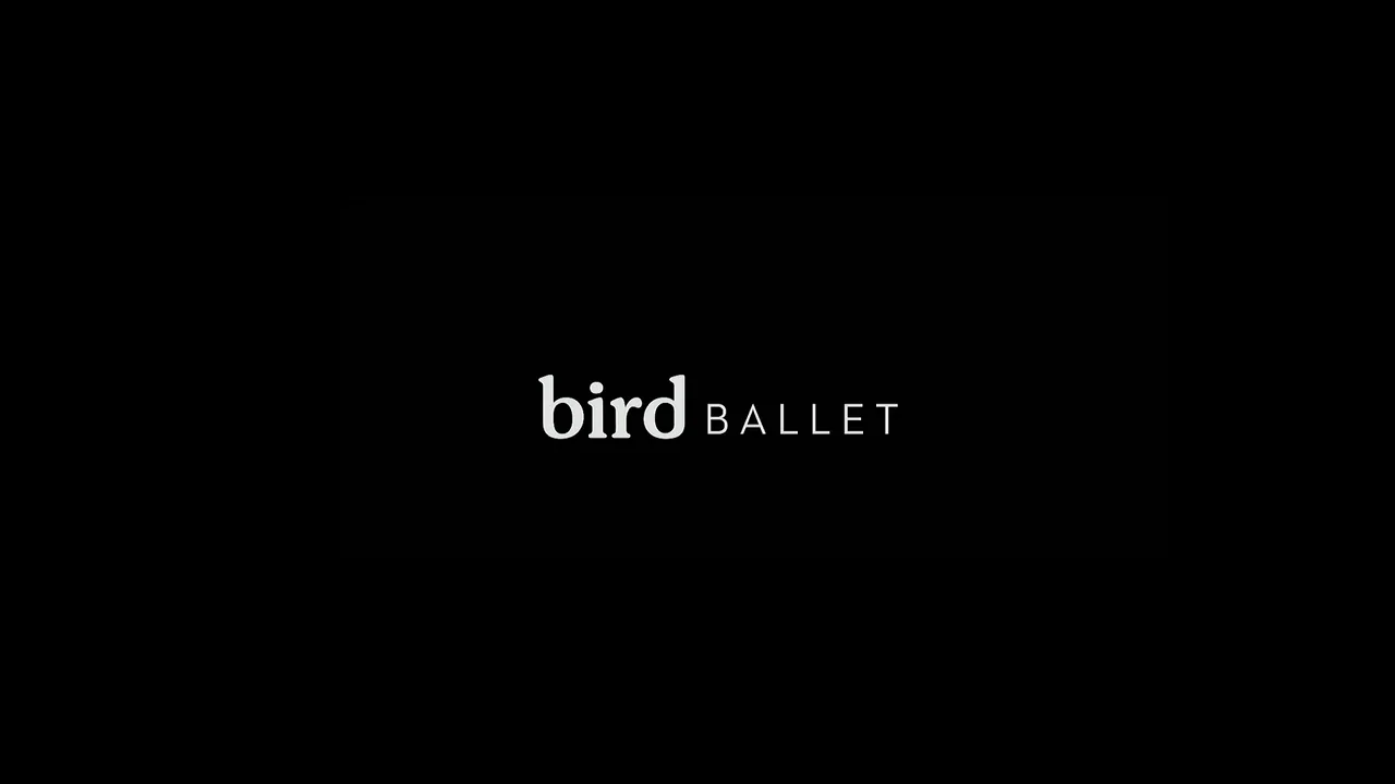 Bird Ballet on Vimeo