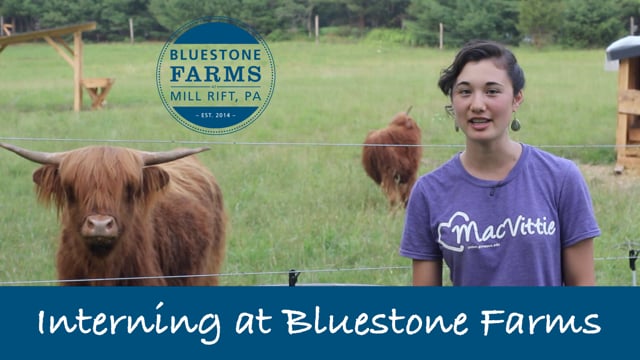 Bluestone Farms on Vimeo
