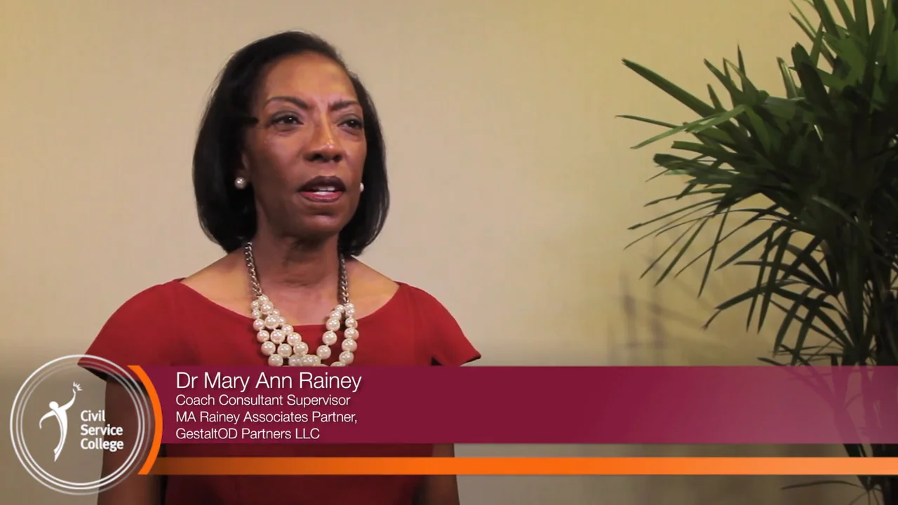 An Interview with Dr Mary Ann Rainey: Attending to Group Dynamics in ...