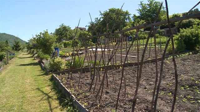 Le JT – 5 juin 2015 | TLVA - 5 juin 2015