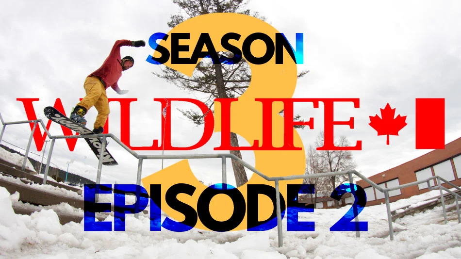 WILDLIFE Season 3 Ep.2 on Vimeo