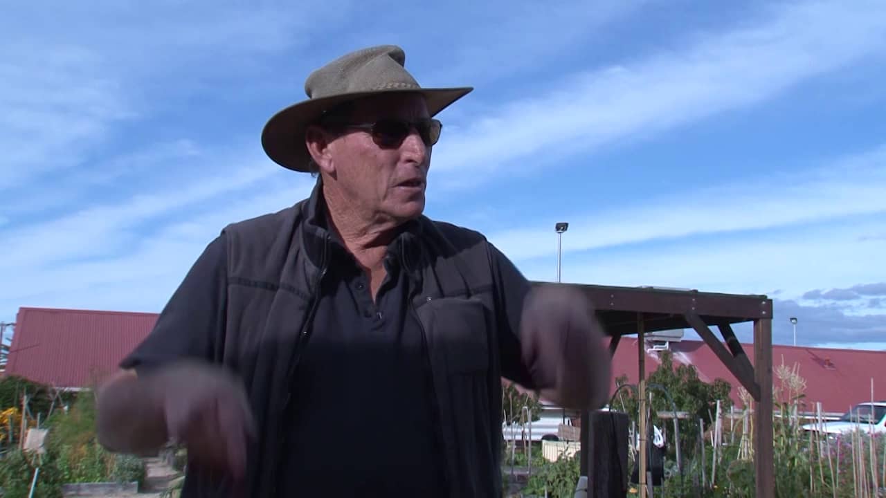 Peter Coppin Fruit Tree Pruning 3 on Vimeo