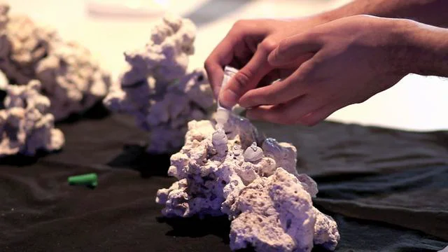Aquascape | Building a Pinnacle Rock Structure on Vimeo