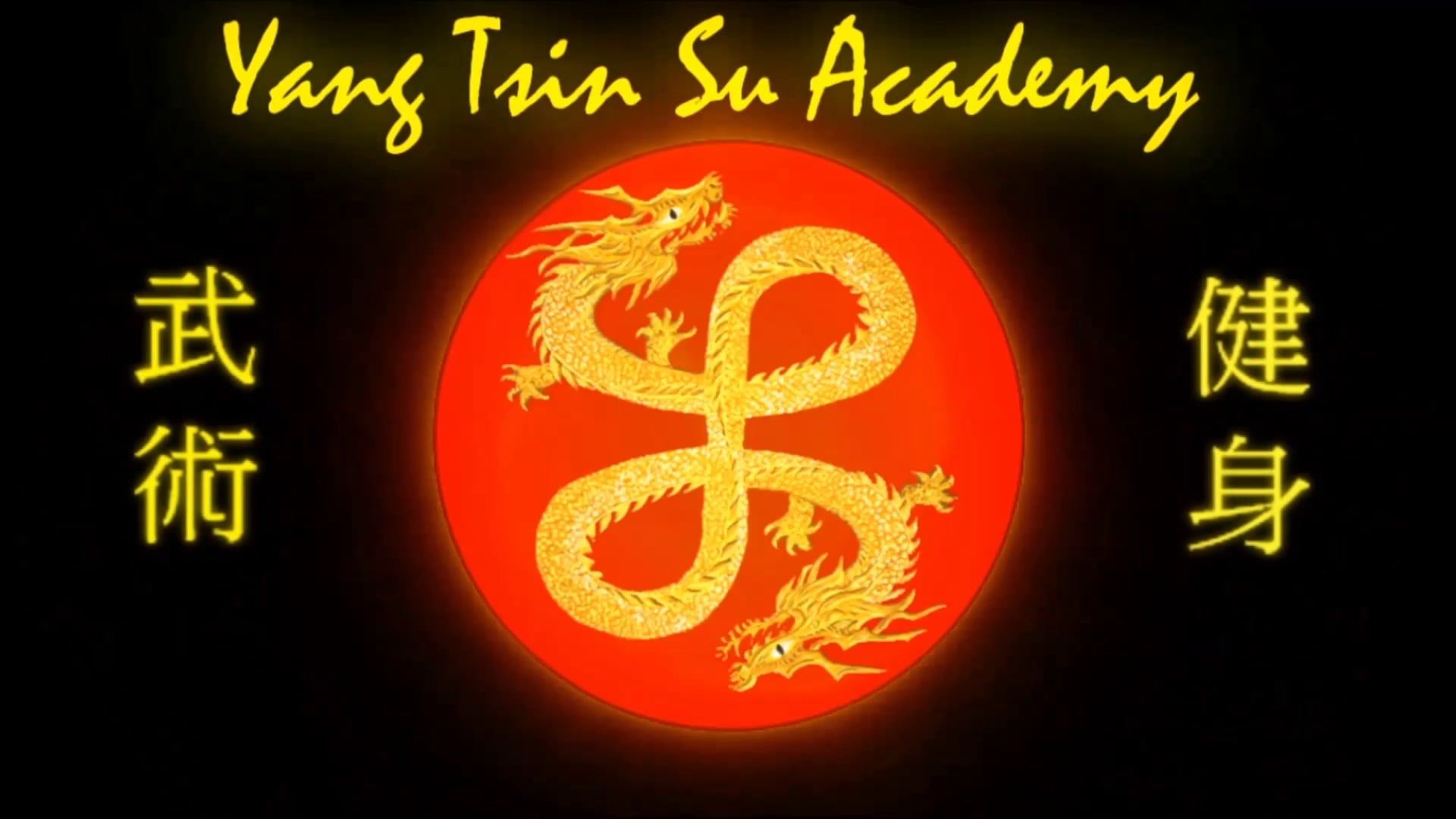 Yang Tsin Su - Yang Style Tai Chi Demonstration | Videos & Movies on Vimeo
