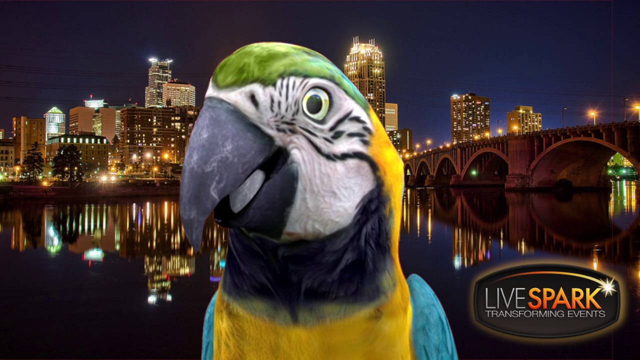 LS Update 06.15 - Parrot on Vimeo