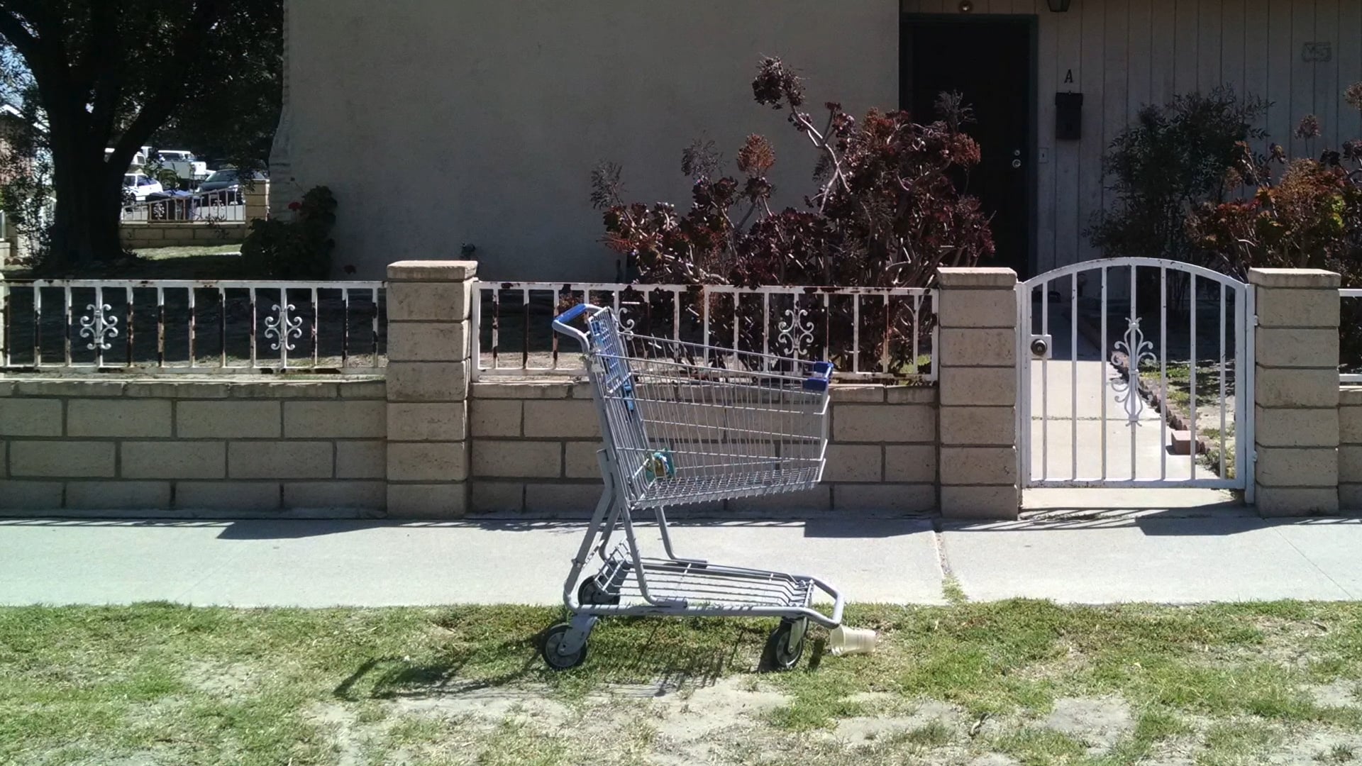 Code Enforcement PSA #2 - Stray Shopping Carts on Vimeo