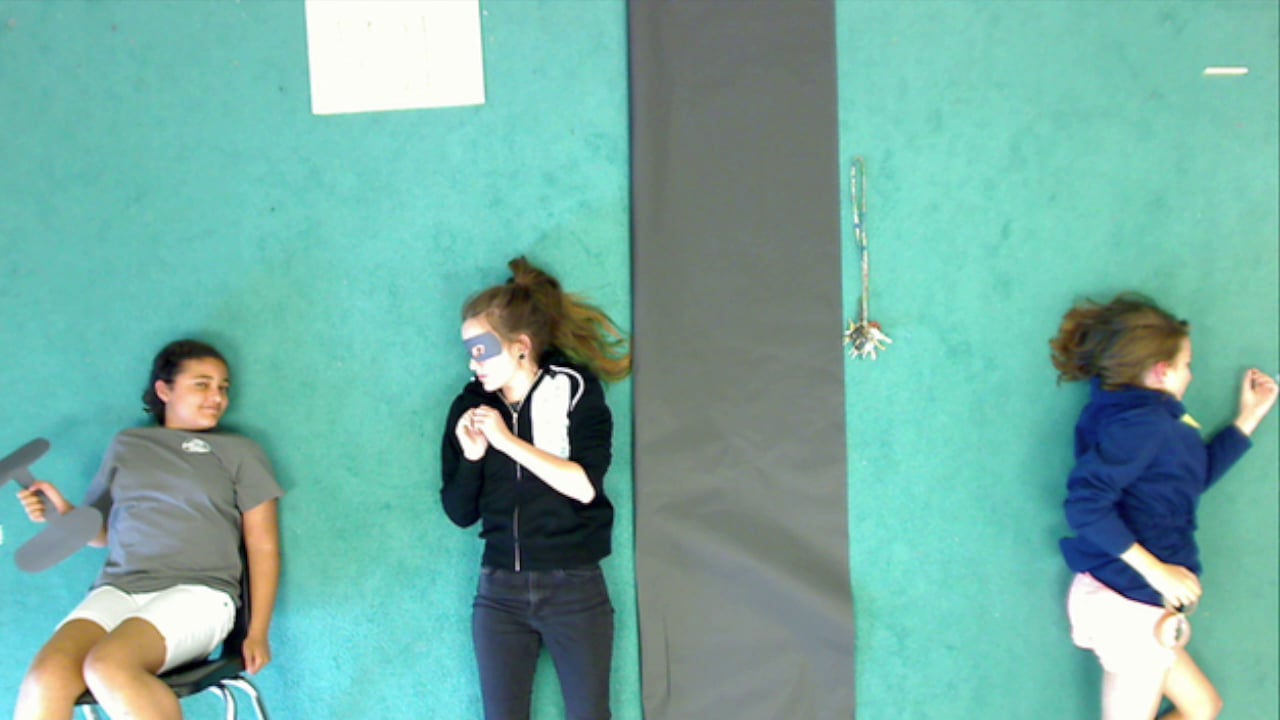 Eva Kiley Biff Reece Sophia Lifesize Final on Vimeo