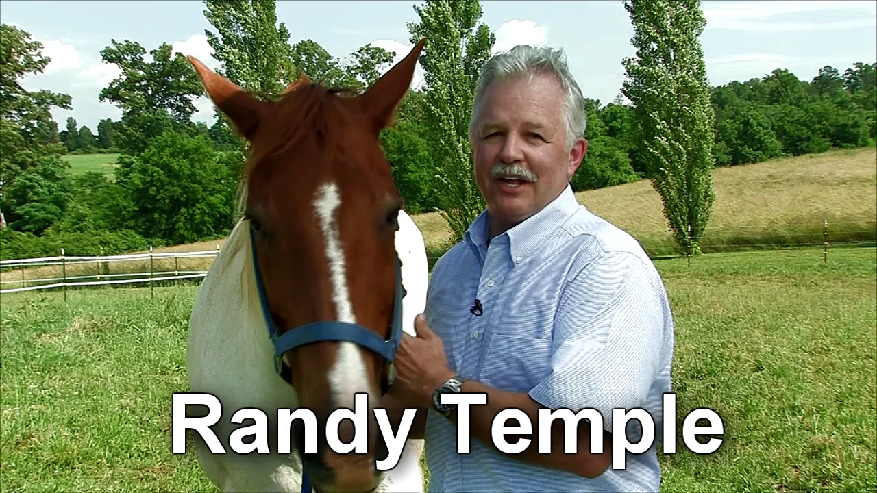 Knox & Blount County Tennessee Real Estate - 236 Foxboro Ln Greenback ...